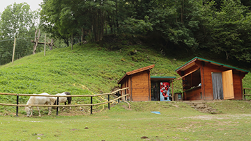 zonas-de-picncic-mollo-parc - Molló Parc